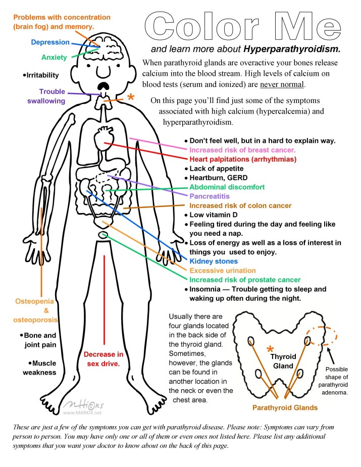 Educational – “Color Me” – PARAthyroid PEEPS